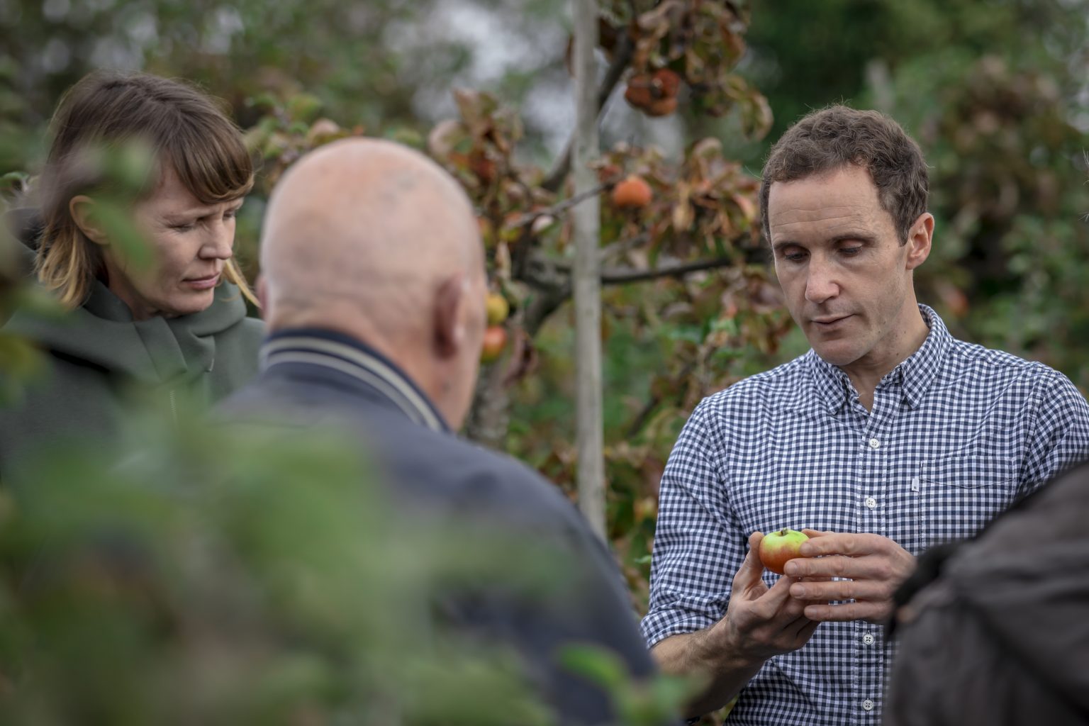 HARD/GRAFT towards community orchards and sustainable cities - Common Ground