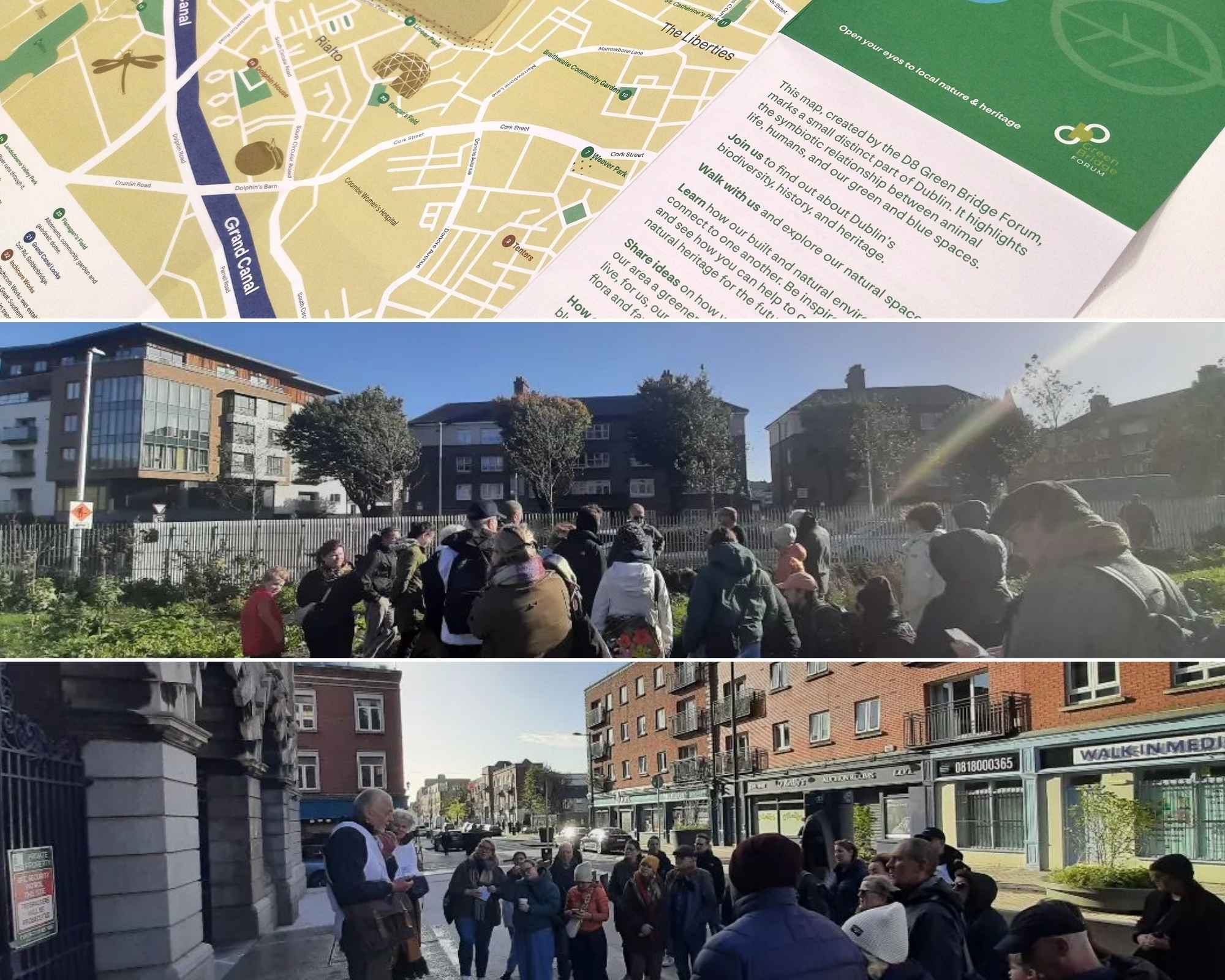 D8 Green Bridge Forum - Common Ground